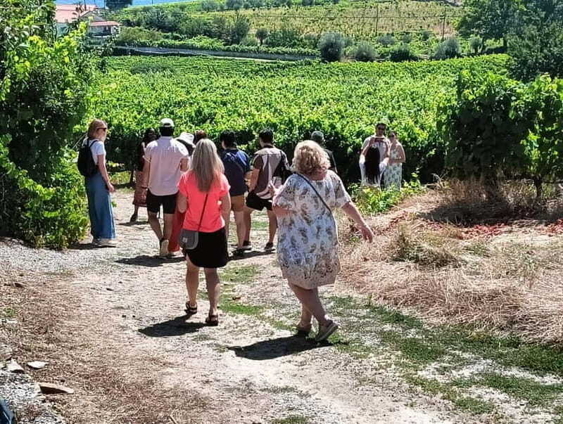 Porto: Douro Valley Tour at 2 Wineries with Lunch and Cruise - Who Will Love This Tour?