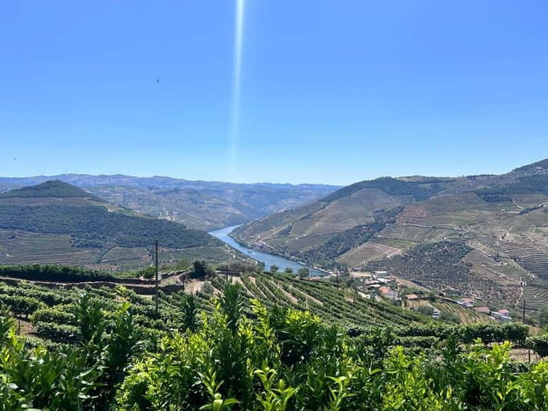 Porto: Douro Valley Tour with 3 Wineries and Lunch - Who Will Love This Tour?