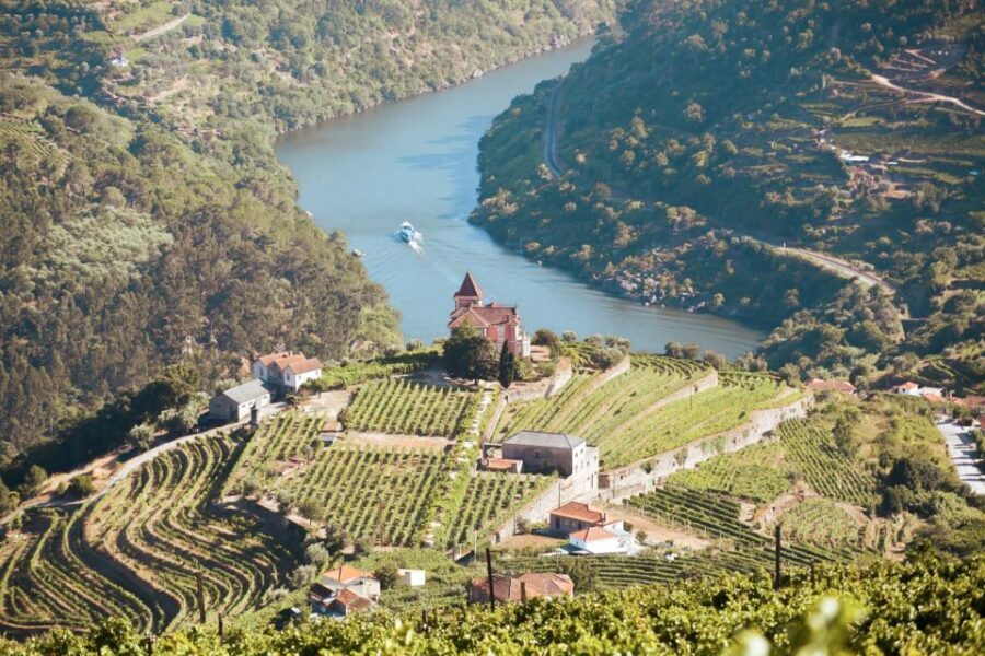 Porto: Douro Valley Tour with Wine Tasting, Cruise and Lunch - What Makes This Tour Stand Out