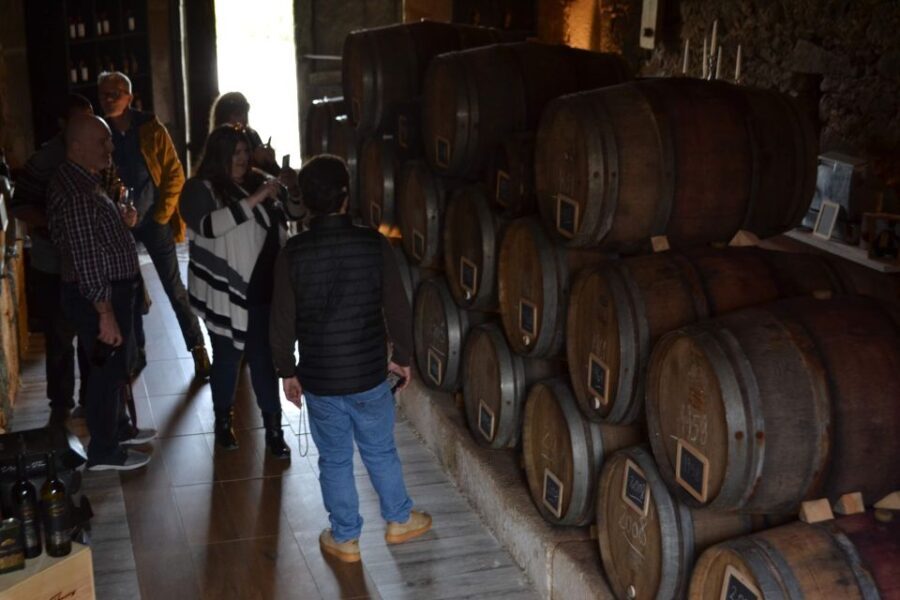 Porto: Douro Valley Vineyards Tour with Lunch & River Cruise - Practical Details: Transportation, Timing, and Value