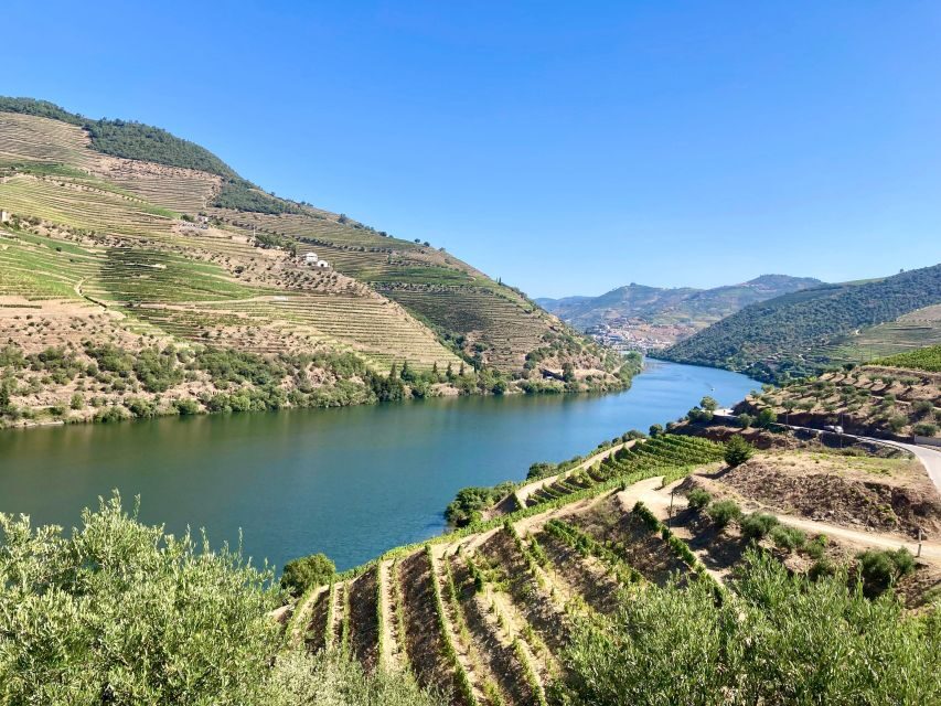 Porto: Douro Valley Wine Tour with Tastings, Boat, and Lunch - Transportation and Group Size