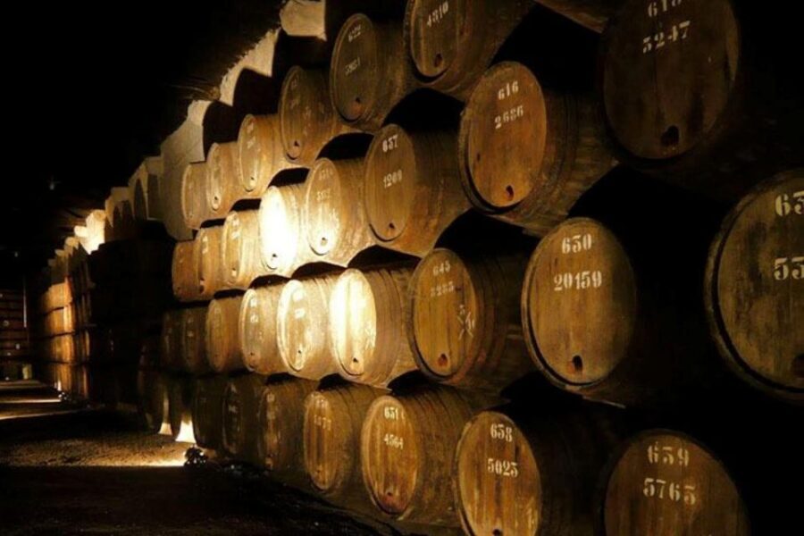 Porto: Douro Valley Wine Tour - Additional Stops and Details