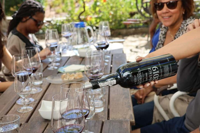 Porto: Douro Valley with Small Wineries, Lunch and Boat Tour - Who Will Love This Tour?
