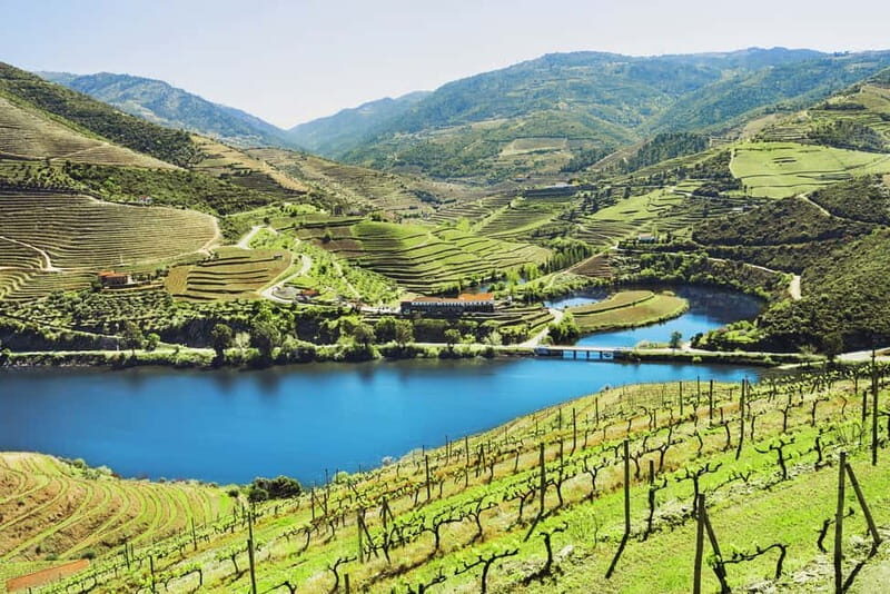Porto: Douro Wine Tour with Lunch and River Cruise - Why This Tour Offers Great Value