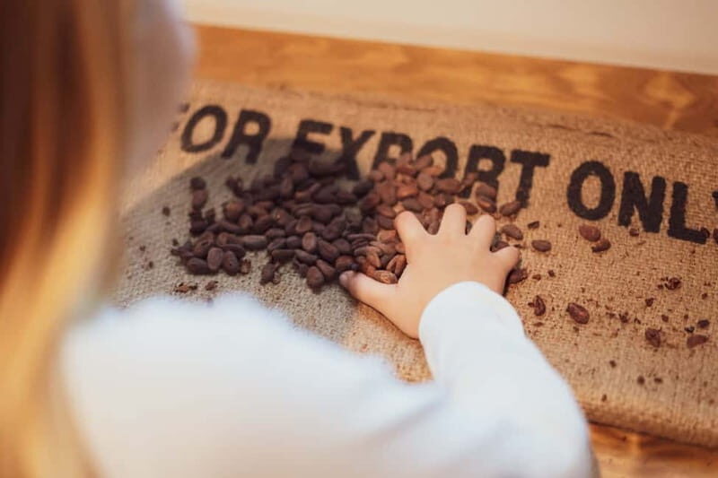 Porto: Entry Ticket at WOW The Chocolate Experience by 20|20 - Behind the Scenes at the Chocolate Factory