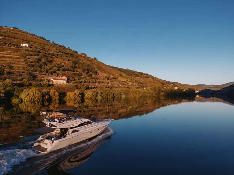 Porto: Full Day Douro River Cruise from Porto to Régua - Who Should Consider This Cruise?