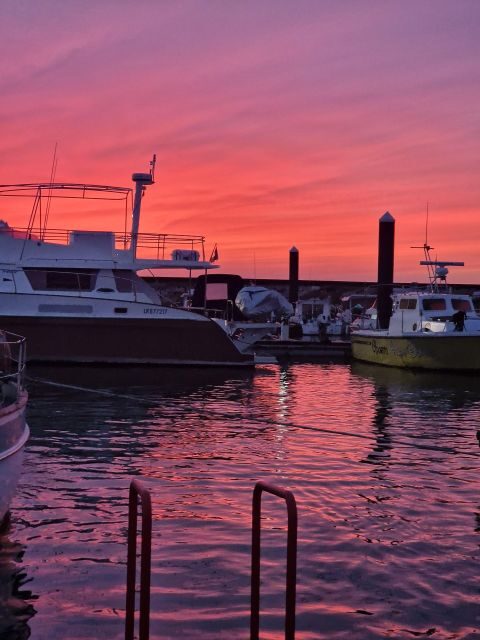 Porto: Guide Boat tour with tasting of 4 Port wines - An Honest Look at the Porto Boat Tour Experience