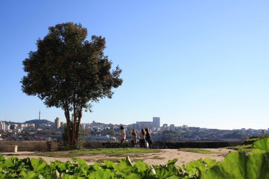 Porto: Half-Day Jewish Tour - Who Should Take This Tour?