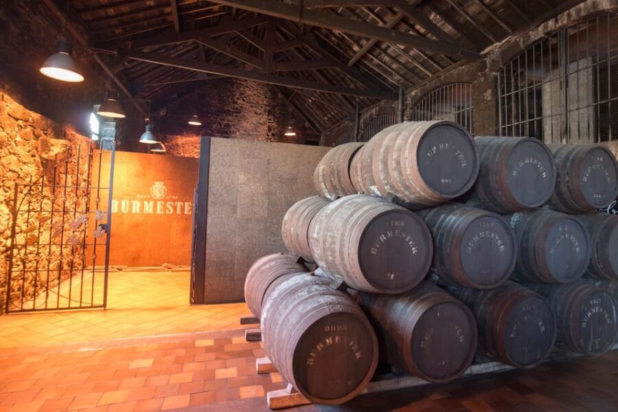 Porto: Half-Day Tour with Port Wine Cellar Visit and Tasting - Analyzing the Value