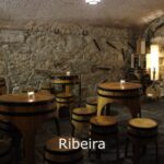 Porto: Live Fado Show with Glass of Port Wine - What the Experience Feels Like