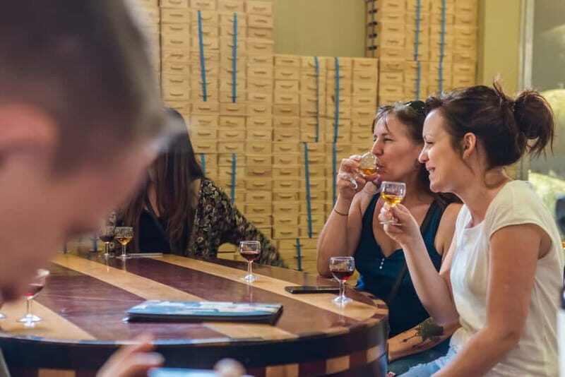 Porto: Magic Train Tour and Port Wine Cellar with Tastings - Real-World Insights from Reviews