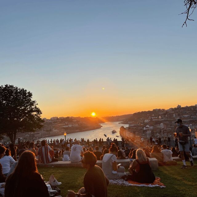 Porto: Picnic Experience in Jardim do Morro - Who Will Love This Experience?