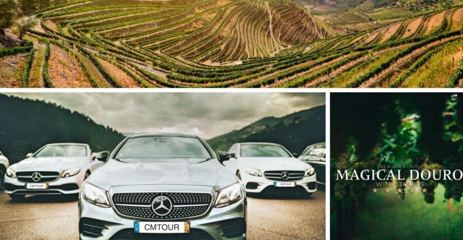 Porto: Private Douro Valley Day with Lunch - Practical Details and What to Expect