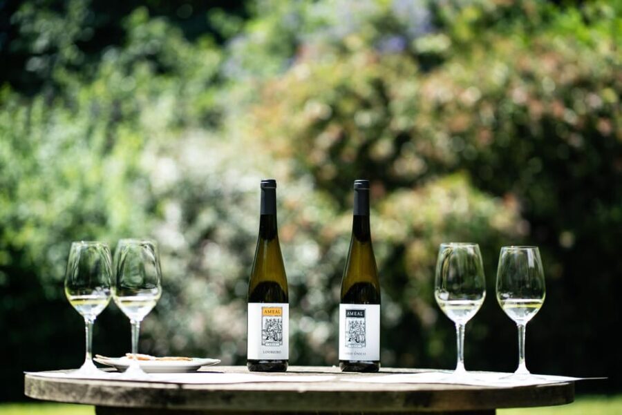 Porto: Private Green Wine Tour: Visit 2 Wine Estates & Lunch - Practical Tips for Travelers