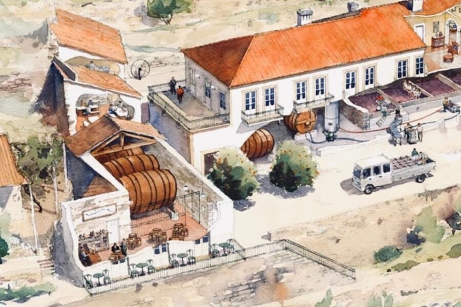 Porto: private tour with premium tasting at Fonseca cellars - The Sum Up