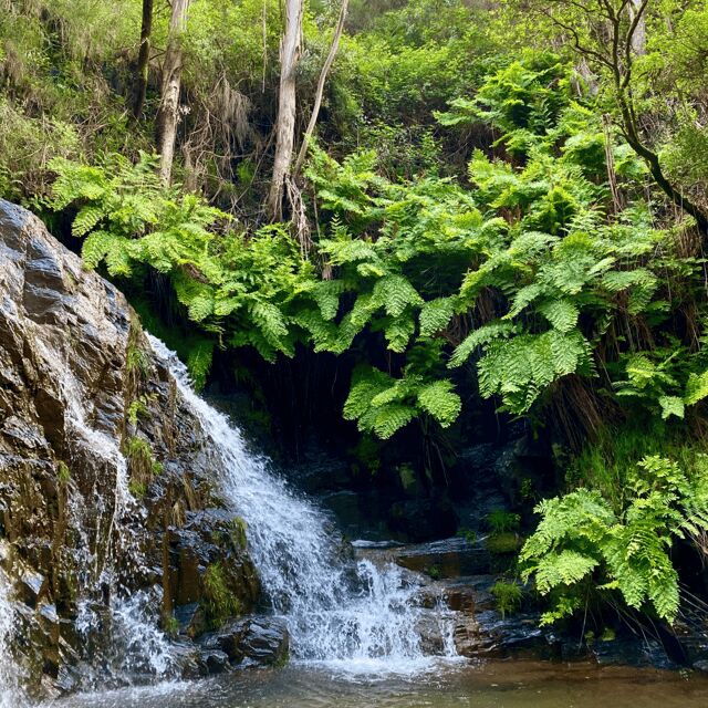 Porto Rio Mau: Hiking, Waterfalls, Lunch. - A Closer Look at the Porto Rio Mau Experience