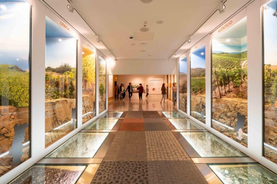 Porto: Taylors Port Cellar Tour & WOW Museum Pack - What Travelers Say