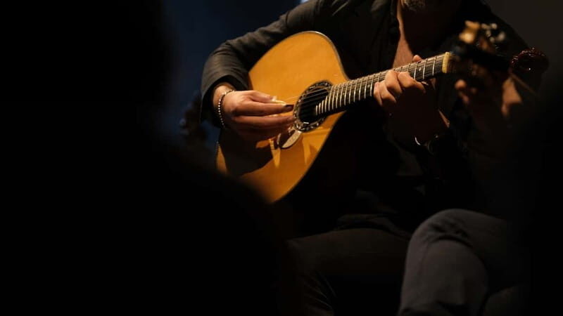 Porto: The highest-rated traditional fado concert (downtown) - Discovering Porto’s Fado Scene