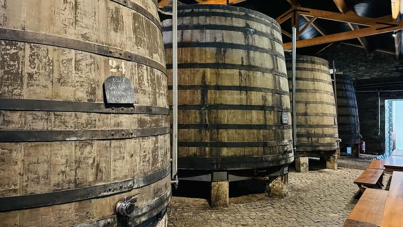 Porto to Gaia Experience: City Walk and Wine Cellars - What’s Included & Whats Not