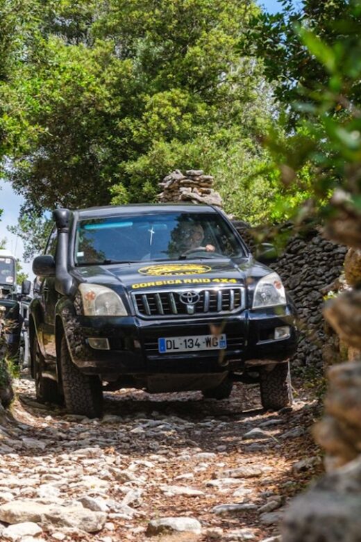 Porto Vecchio: Cuscionu Plateau & Alta Rocca 4x4 Tour - Stops and Highlights Along the Way