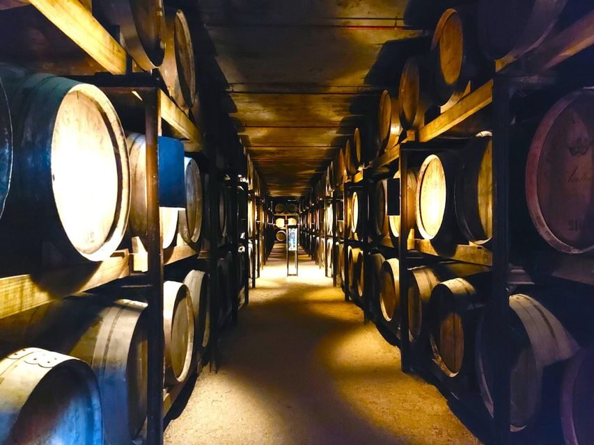 Porto: Wine Tastings (Green Wine) & Tradicional Lunch - An In-Depth Look at the Tour Experience