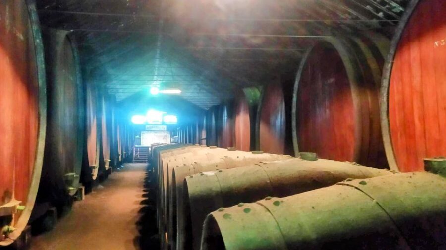 Portuguese Tiles and Wine History - Private Tour - What We Appreciate About This Tour
