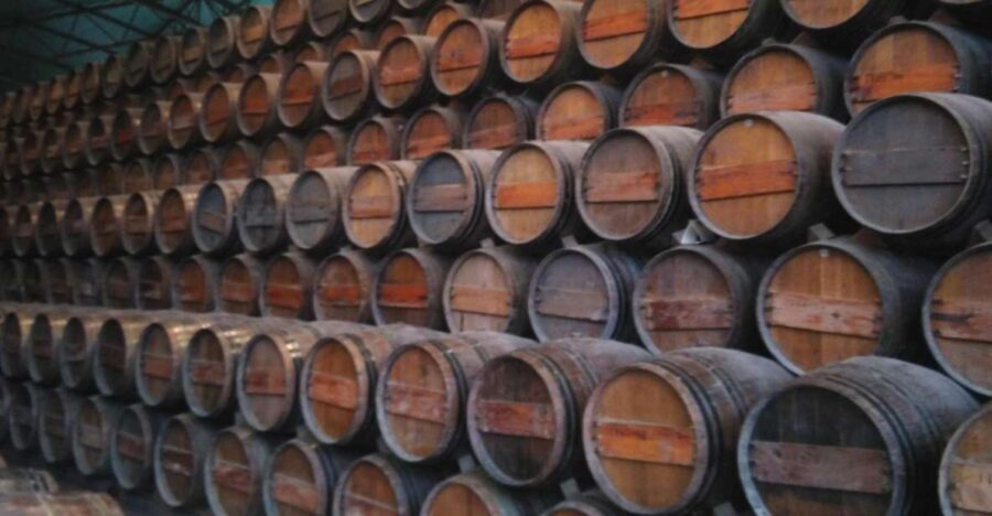 Portuguese Wine History & Amazing Landscape - FAQs