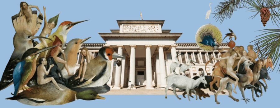 Prado Museum private tour for families - Is the Price Worth It?