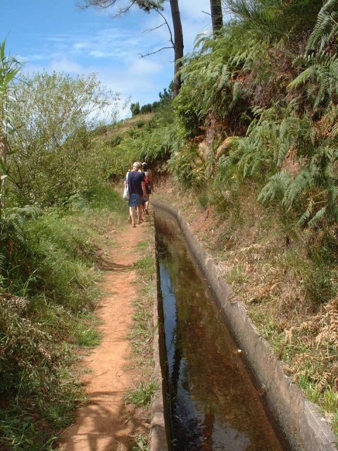 Prazeres: Full-Day Nature Walk - What to Expect on This Guided Walk