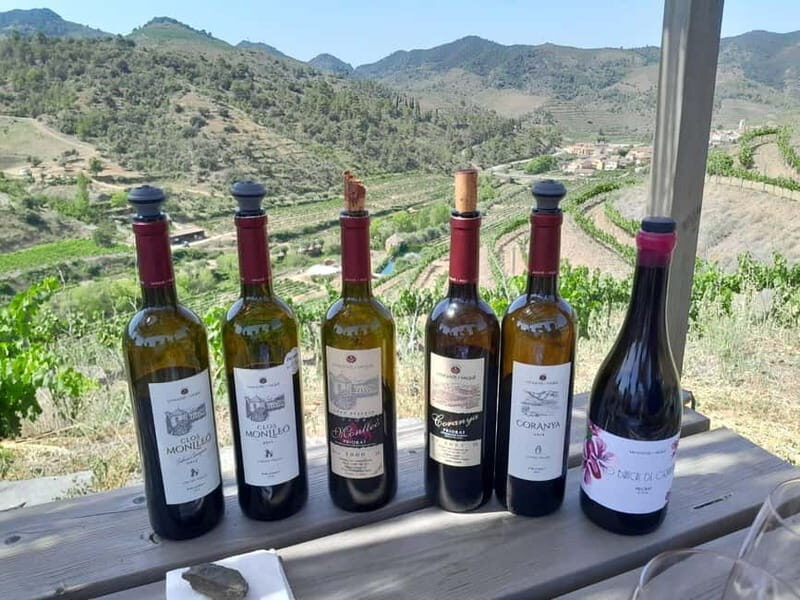 Priorat tour to 3 small wineries and hotel pick-up - Final Thoughts: Is This Tour Right for You?