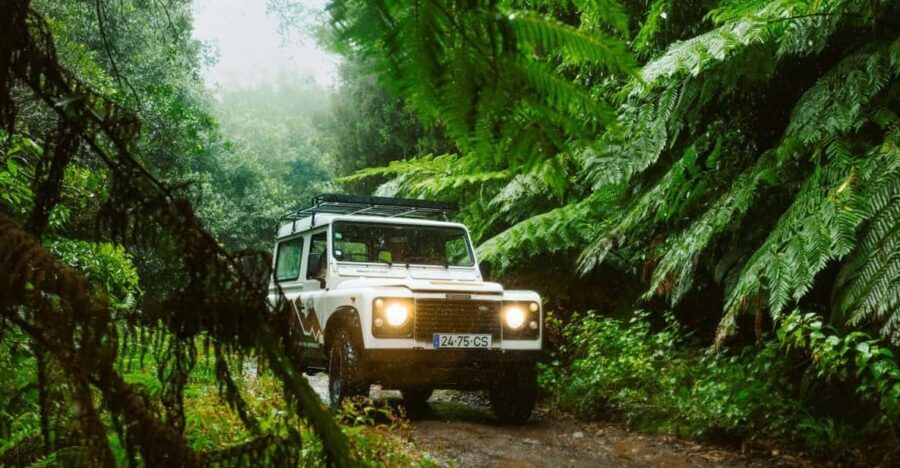 Priv. East: 4x4 Tour|Pico do Areeiro|Santana Typical Houses| - Practical Details and Value