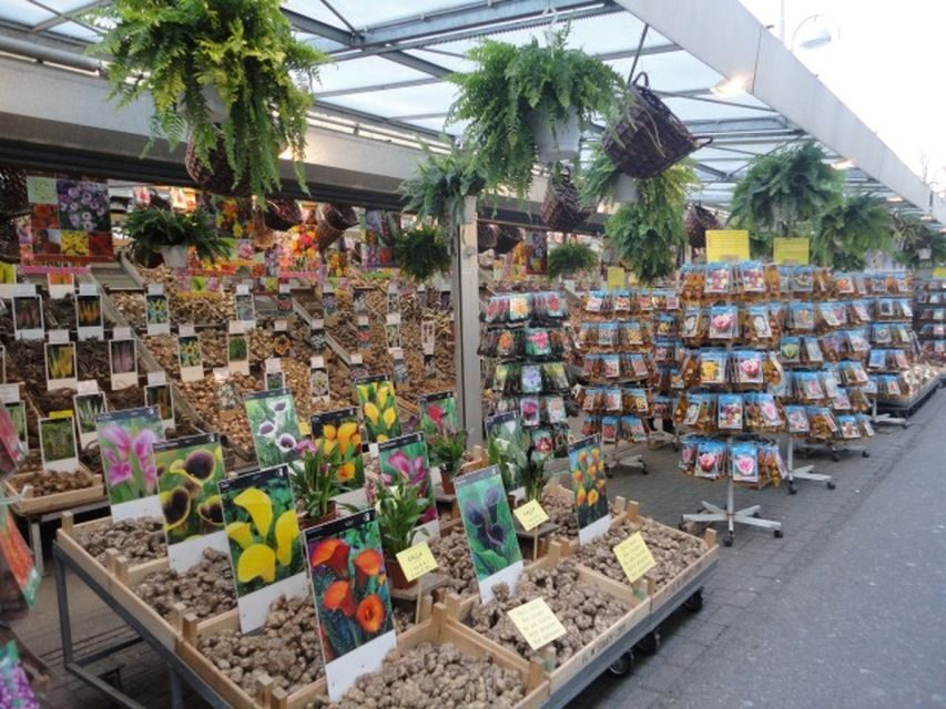 Private Amsterdam Walking Tour - Who Will Love This Tour?