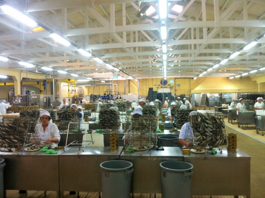 Private Best Fish Experience - Who Will Love This Tour?