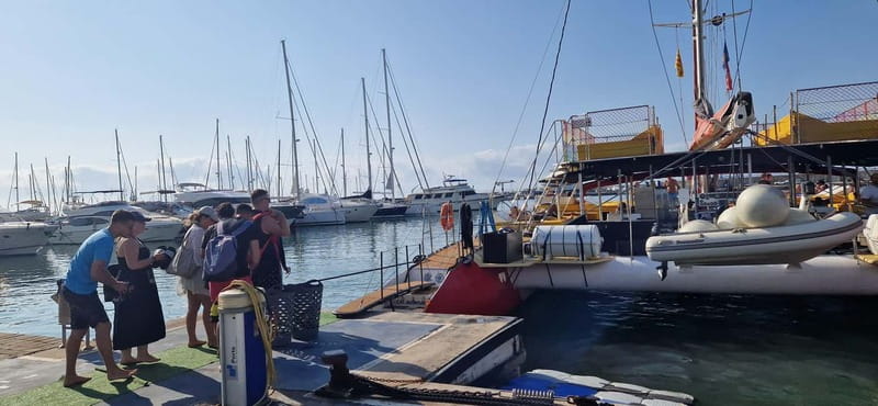 Private catamaran 3h with drinks - Key Points