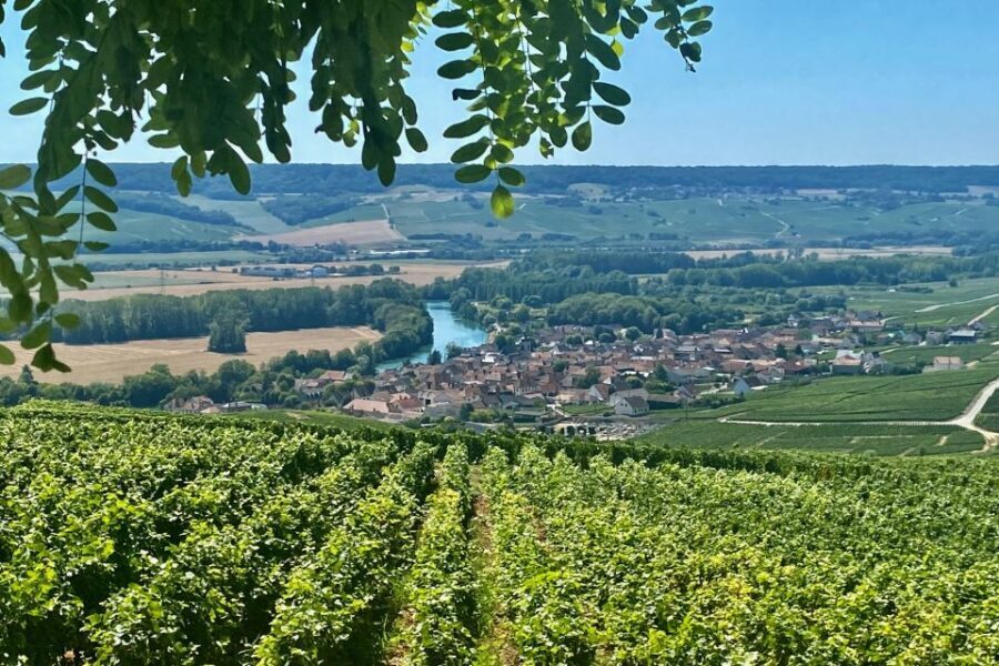 Private Champagne Moet et Chandon Veuve Clicquot by Mercedes - What Makes This Tour Stand Out?