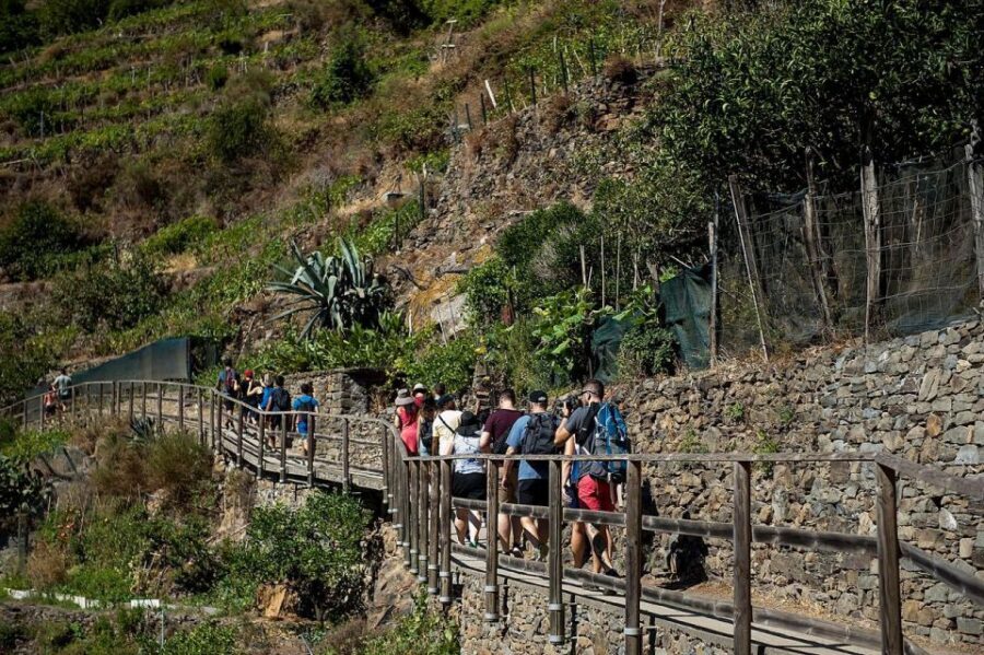 Private Cinque Terre Tour from Florence with Optional Hike - The Itinerary: A Deep Dive into Cinque Terre’s Charm