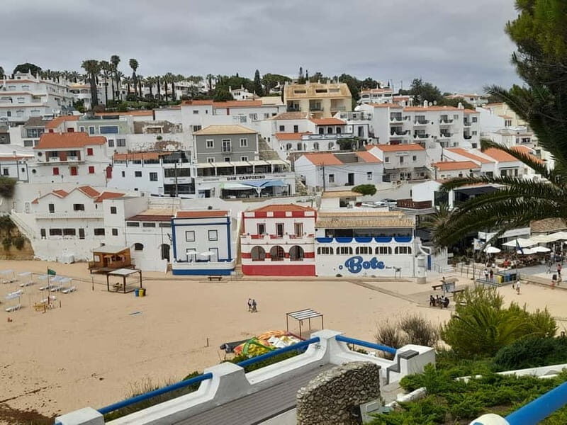 Private Coast Tour from Lagos Visit Portimao, Carvoeiro - What to Expect from the Tour