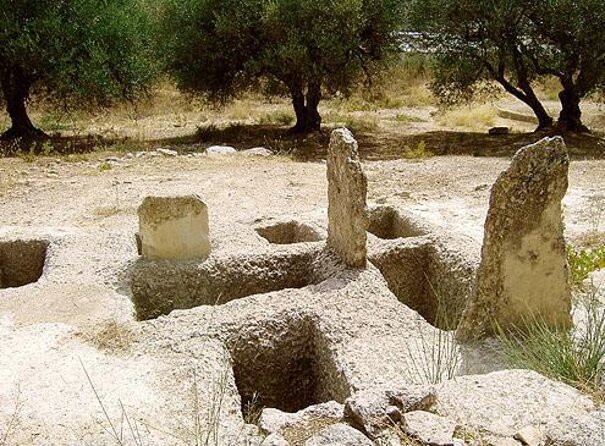 Private Cretan Gastronomic experience Winery visit with Tastings & Cooking Class - Key Points