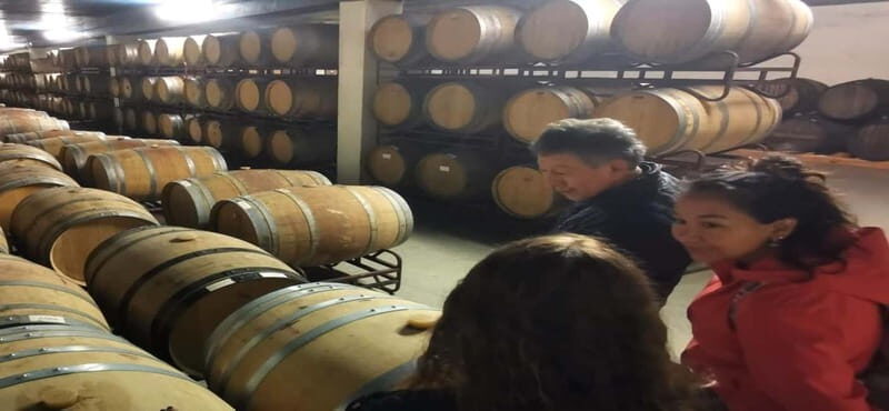 Private day tour Arrábida, Palmela Castle, tiles and Winery - Final Thoughts