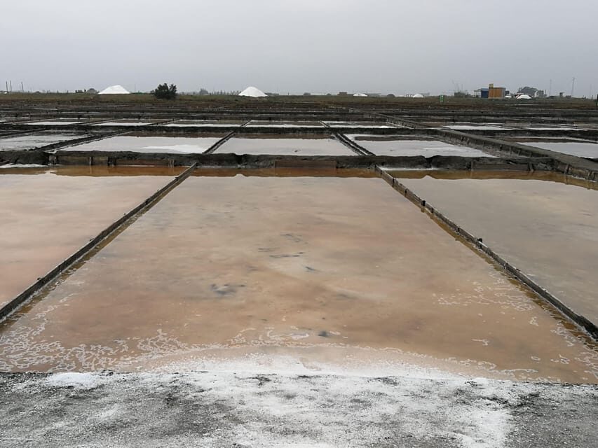 Private day tour of Olive Oil , Salt Flats and Winery - Discovering the Essence of Portugal’s Olive Oil