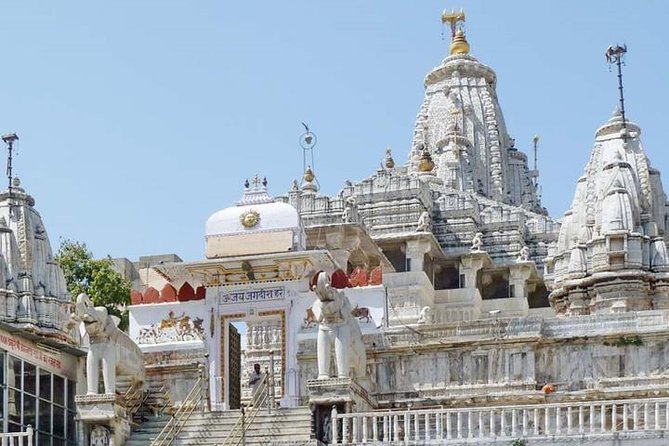 Private Day Trip to Chittorgarh Fort from Udaipur - The Tour Experience: A Detailed Breakdown