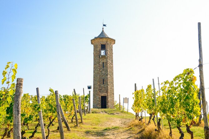 Private E-bike Tour "Monferrato di Canelli" - Asphalt only - Key Points