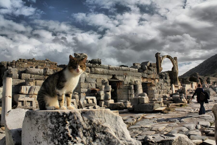 Private Ephesus,irince,Virgin Marry House Tour - The Practicalities: What You Need to Know