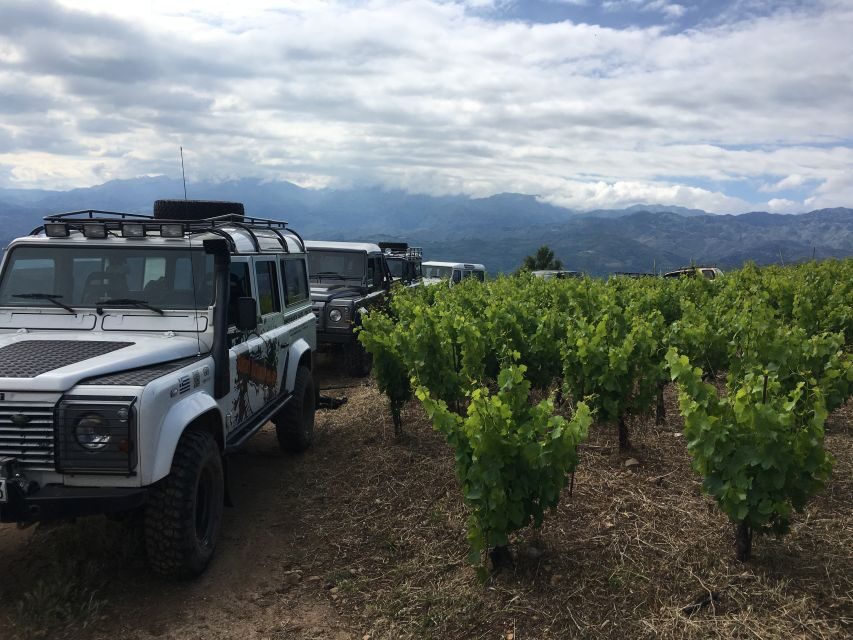 Private Exclusive Manousakis Winery and Vineyard Tour - Exploring Crete’s Scenic Landscape and Culture