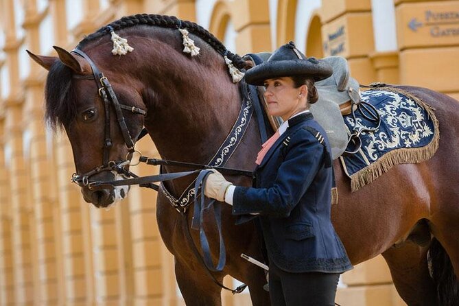 Private excursion to Jerez de la Frontera with Equestrian Show from Cadiz - Introducing the Tour: An Authentic Day in Jerez de la Frontera