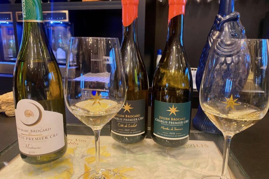 Private Exquisite Red & White Burgundy Wines Trip from Paris - Analyzing the Value