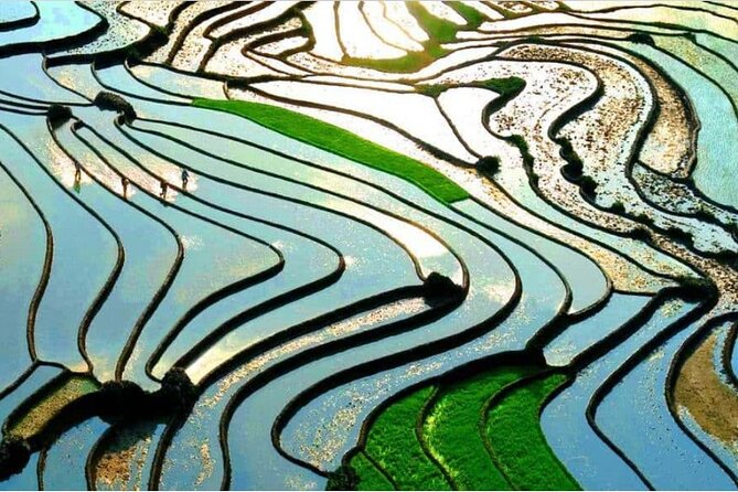 Private Full Day Tour in Sapa by Car - Exploring Sapa in One Day: What You Can Expect