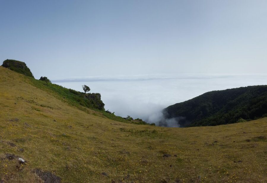 Private Full-Day Tour of North Coast and Laurissilva Forest - Key Points