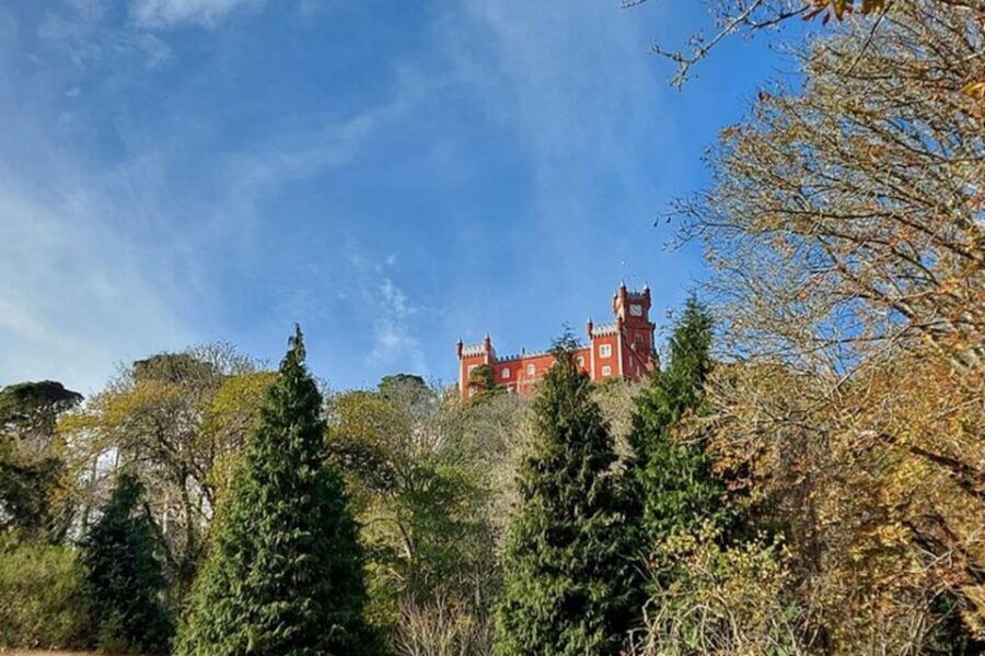 Private Half-Day Tour to Sintra - The Itinerary in Detail: What You Can Expect