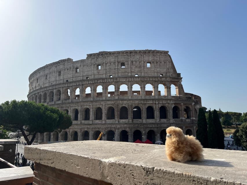 Private Half-day tour to Vatican - What to Expect on Your Vatican Half-Day Tour
